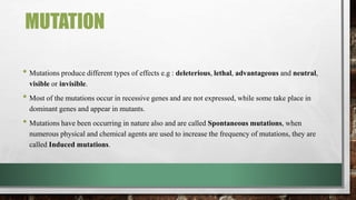 Principles of inheritance & Variation-IV | PPTX | Genetics | Science