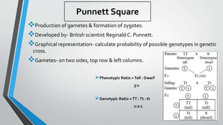 Principles of Inheritance & Variation .pptx