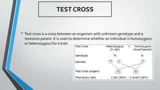 Principles of Inheritance & Variation .pptx