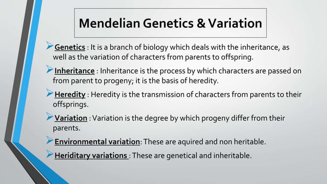 Principles of Inheritance & Variation .pptx | Gardening | Home & Garden