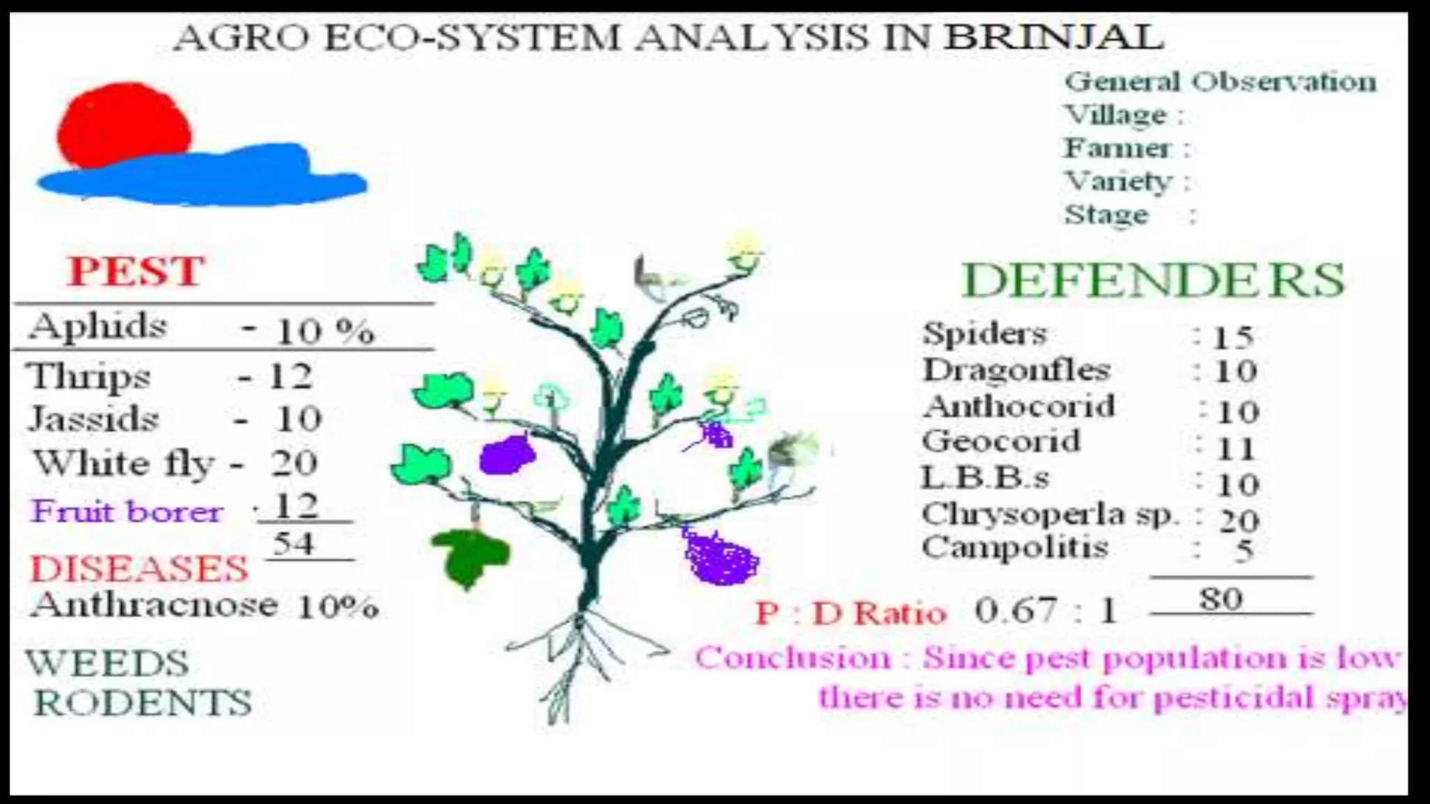 Principles of insect pest management | PPTX