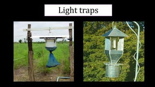 Principles of insect pest management | PPTX