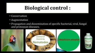 Principles of insect pest management | PPTX