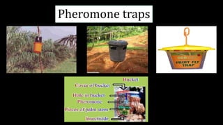 Principles of insect pest management | PPTX