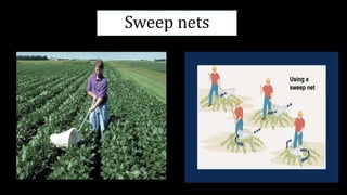Principles of insect pest management | PPTX