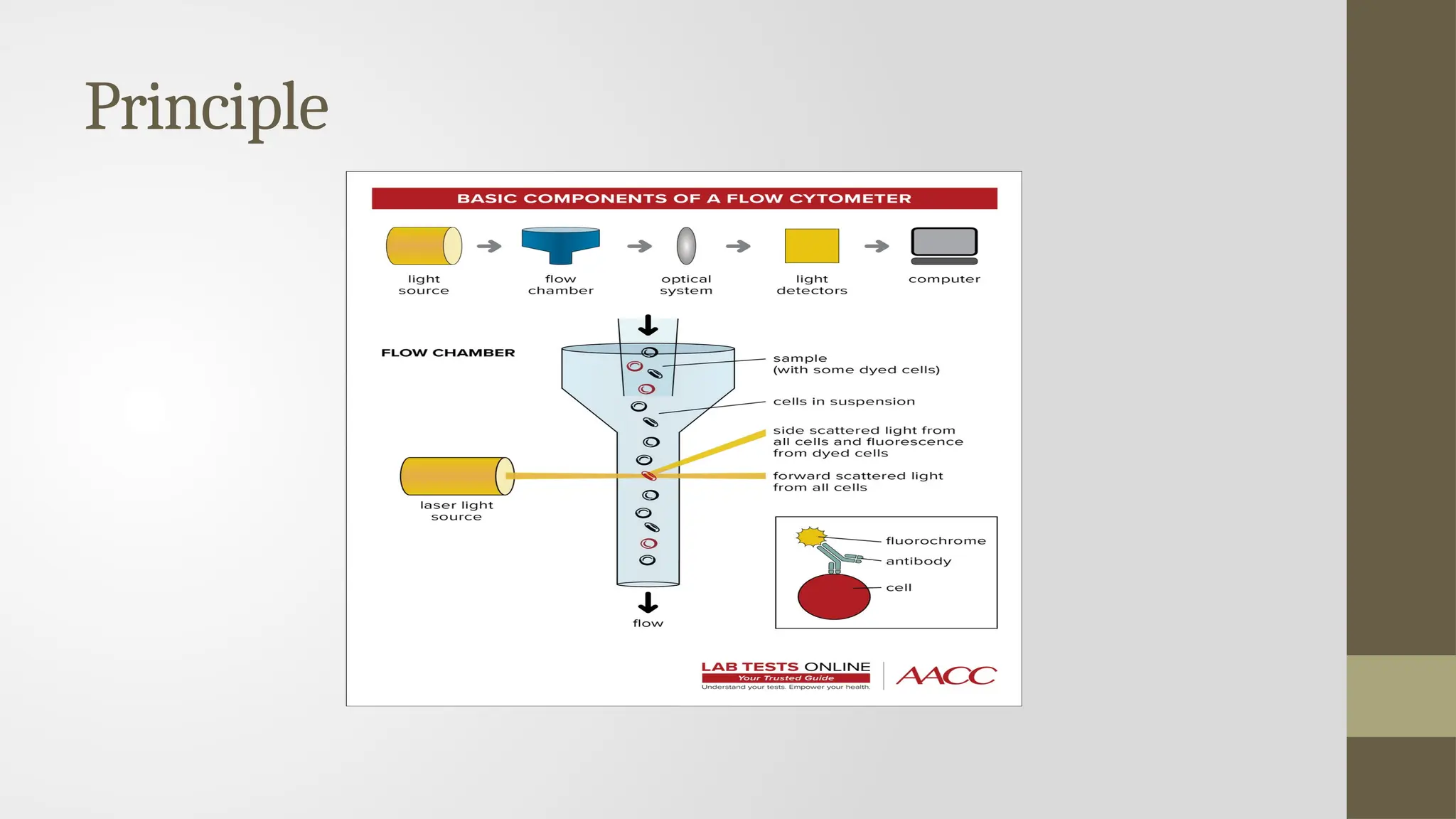 principles of instrumentation in laboratory .pptx