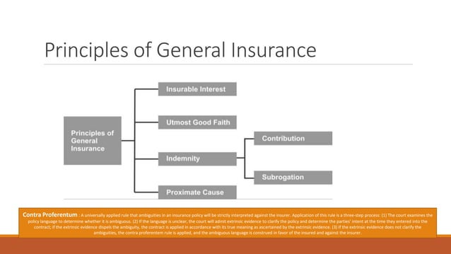 Principles of insurance | PPT
