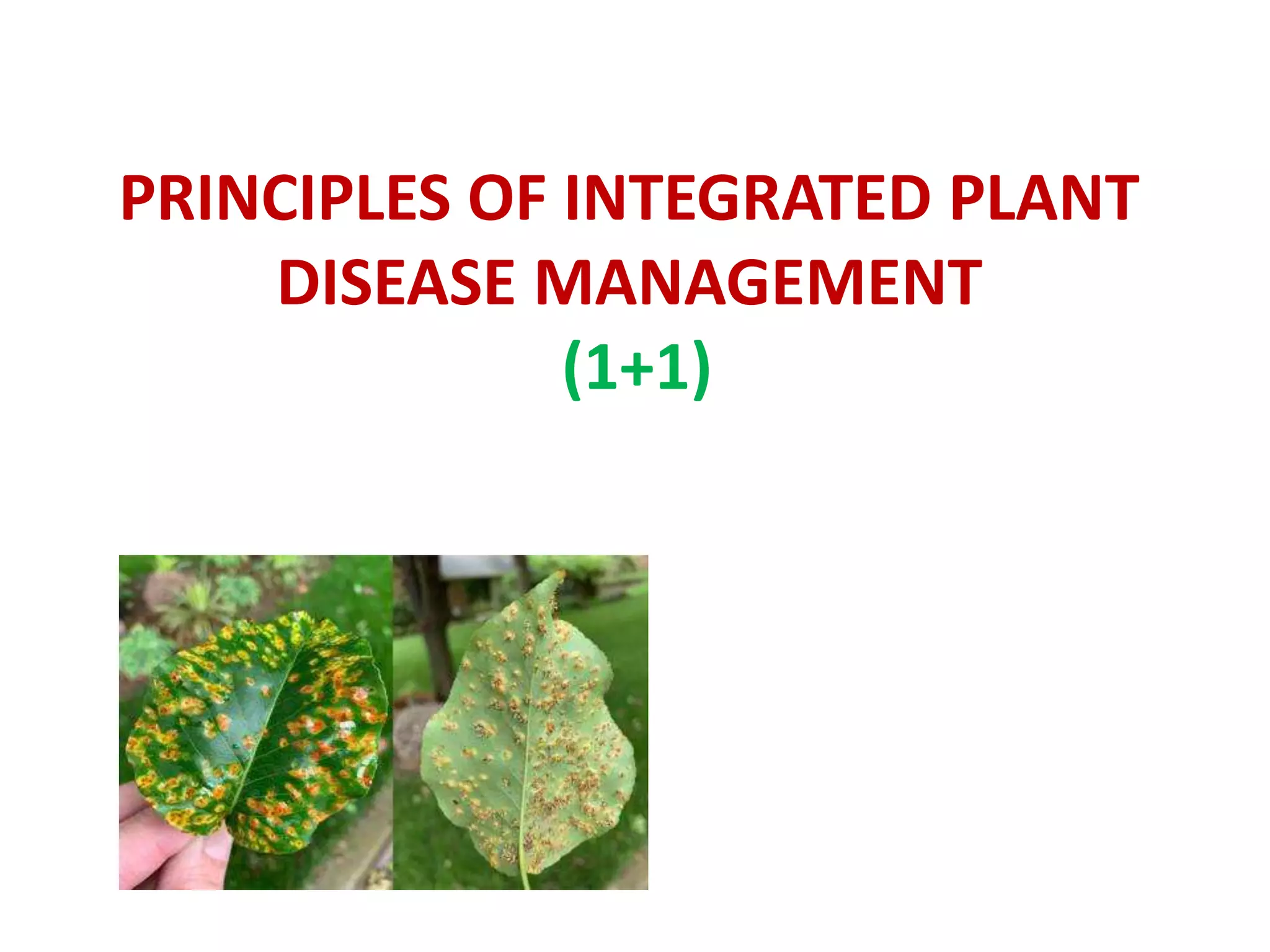 Principles of integrated plant disease management (1+1) | PPTX ...