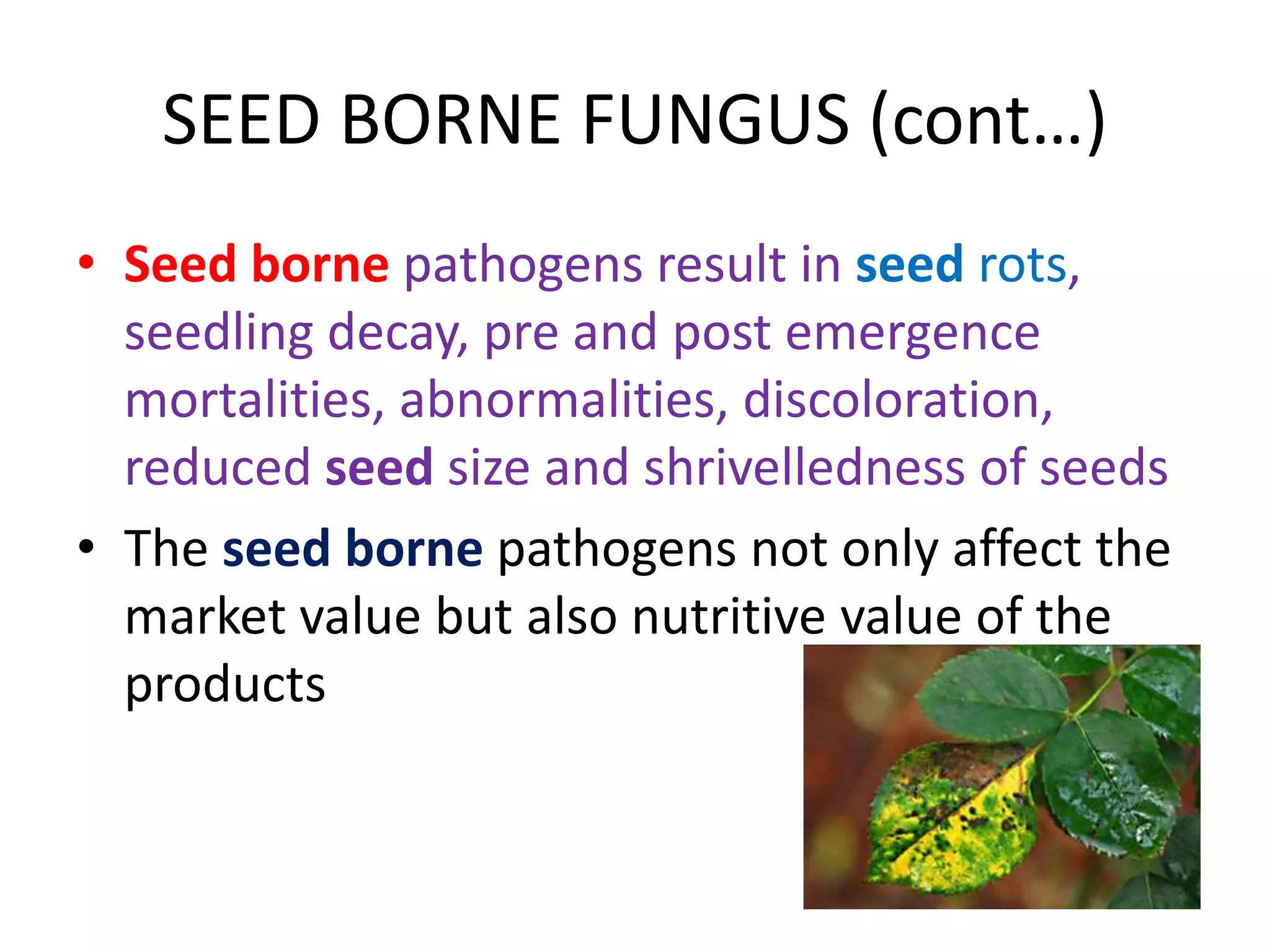 Principles of integrated plant disease management (1+1) | PPTX