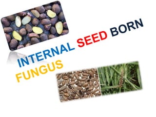 Principles of integrated plant disease management (1+1) | PPTX