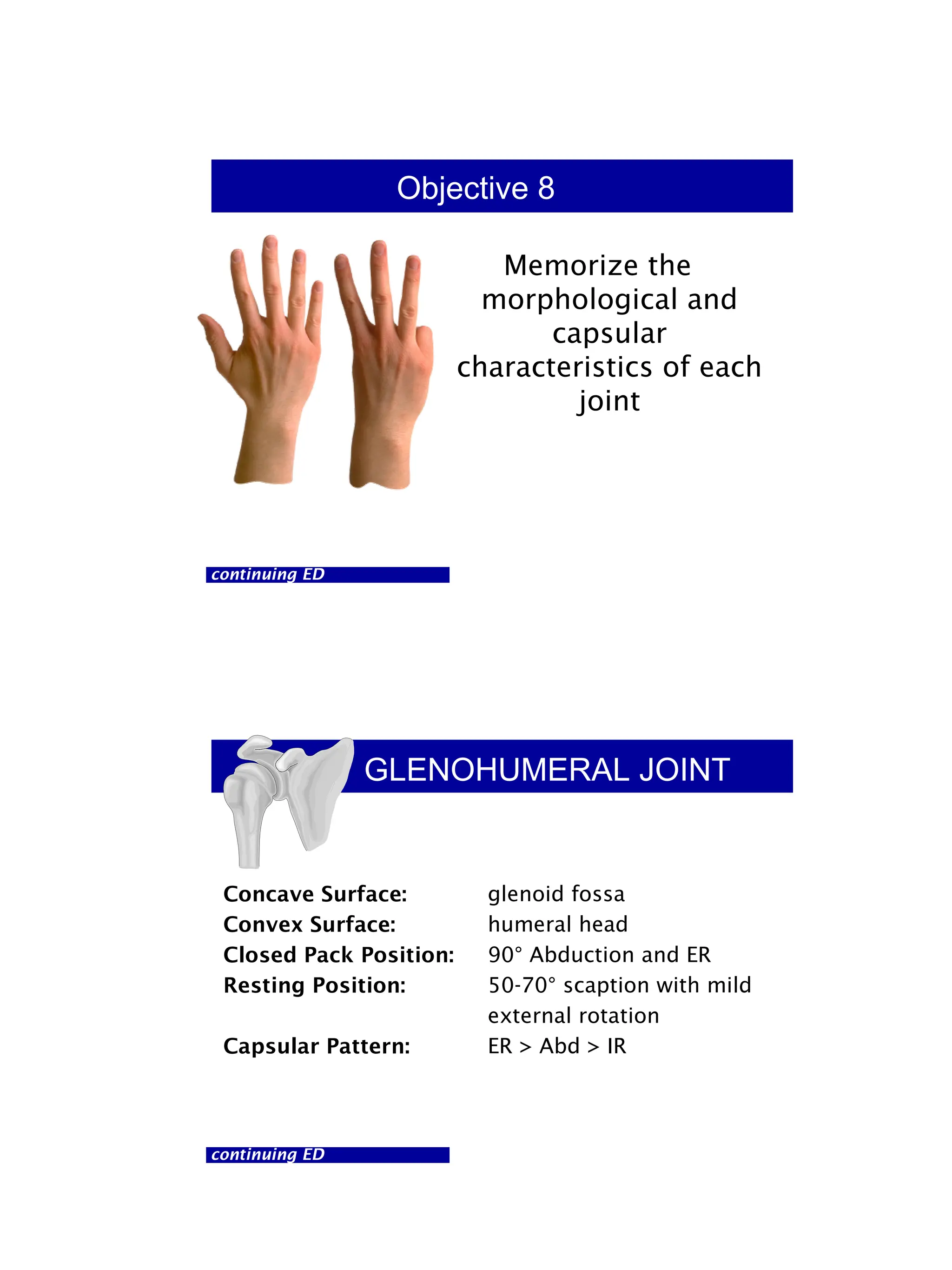 Principles_of_Joint_Mobilization.pdf learn | PDF