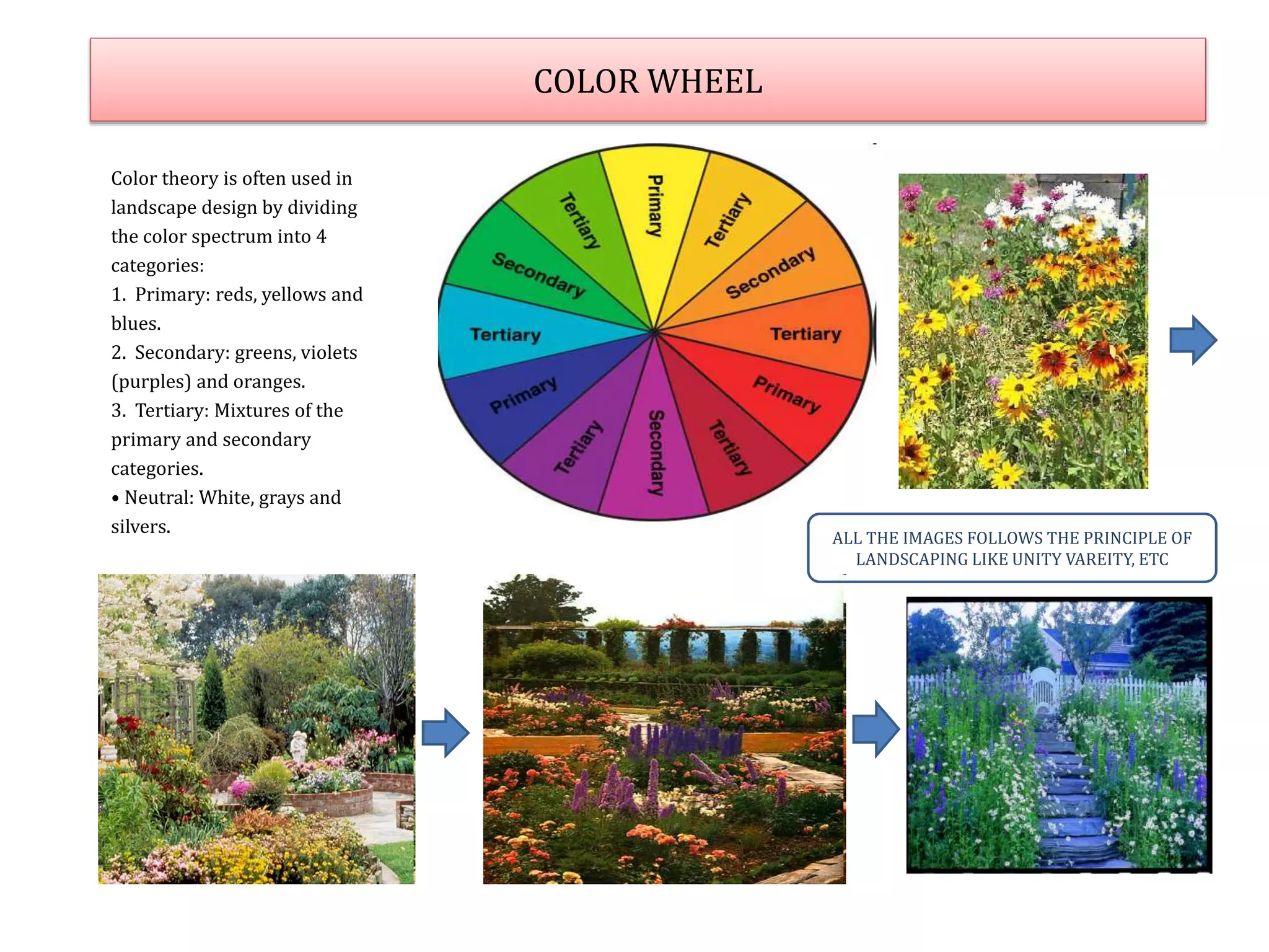 Principles of landscape | PPTX