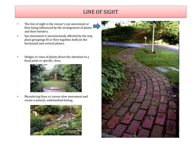 Principles of landscape | PPTX