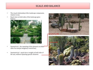 Principles of landscape | PPTX