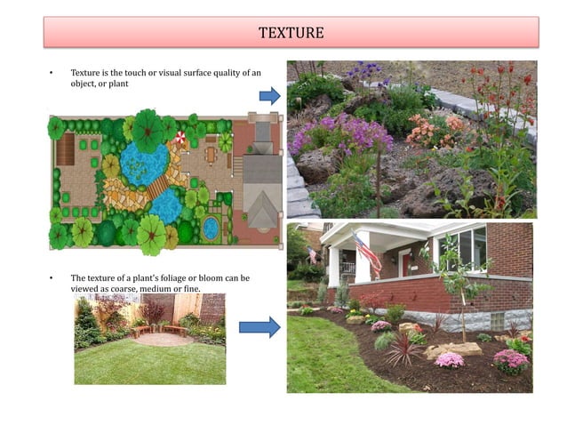 Principles of landscape | PPTX