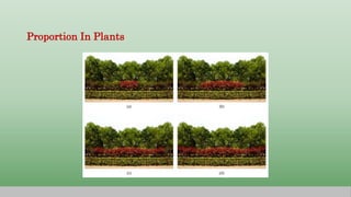 Principles of Landscape Design.pptx