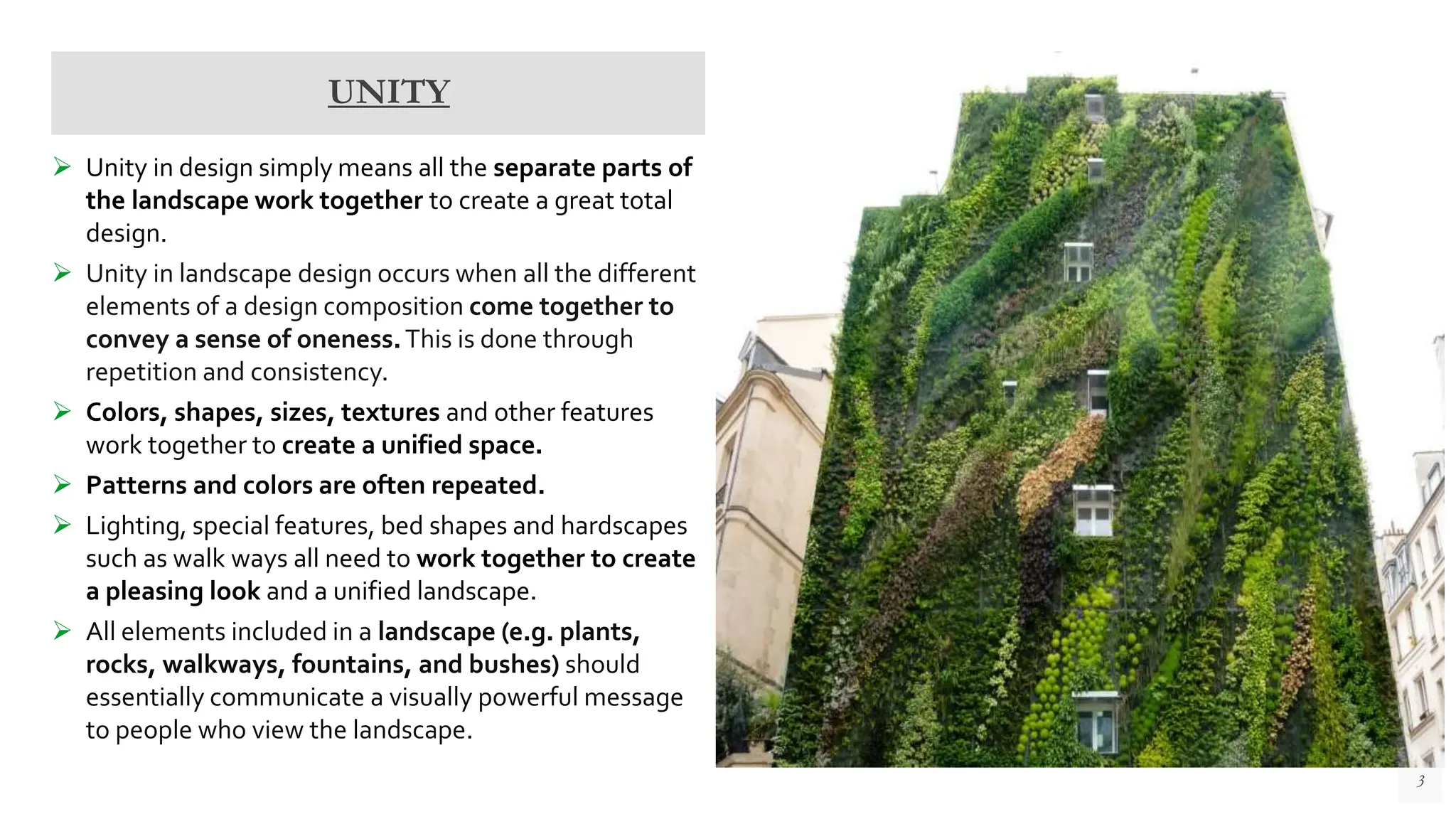 Principles of Landscape _ Unity - MaHi.pptx