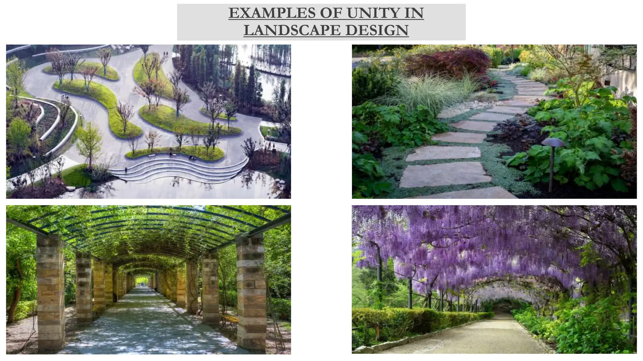 Principles of Landscape _ Unity - MaHi.pptx
