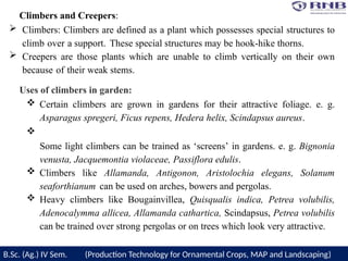 Principles of landscaping Landscape uses of trees shrubs and climbers.pptx