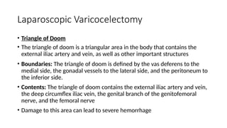 Principles of Laparoscopy and Procedure of Laparoscopic Varicocelectomy ...