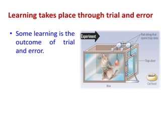 Principles of learning | PPTX