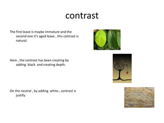 Principles of line | PPT