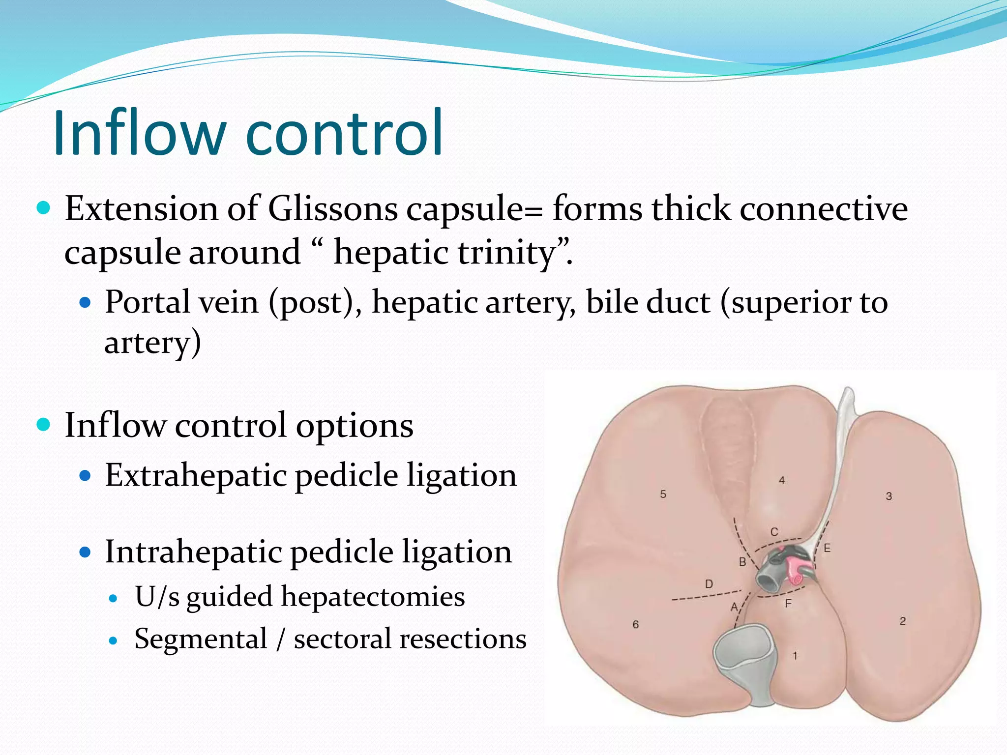Principles of liver resection.pptx