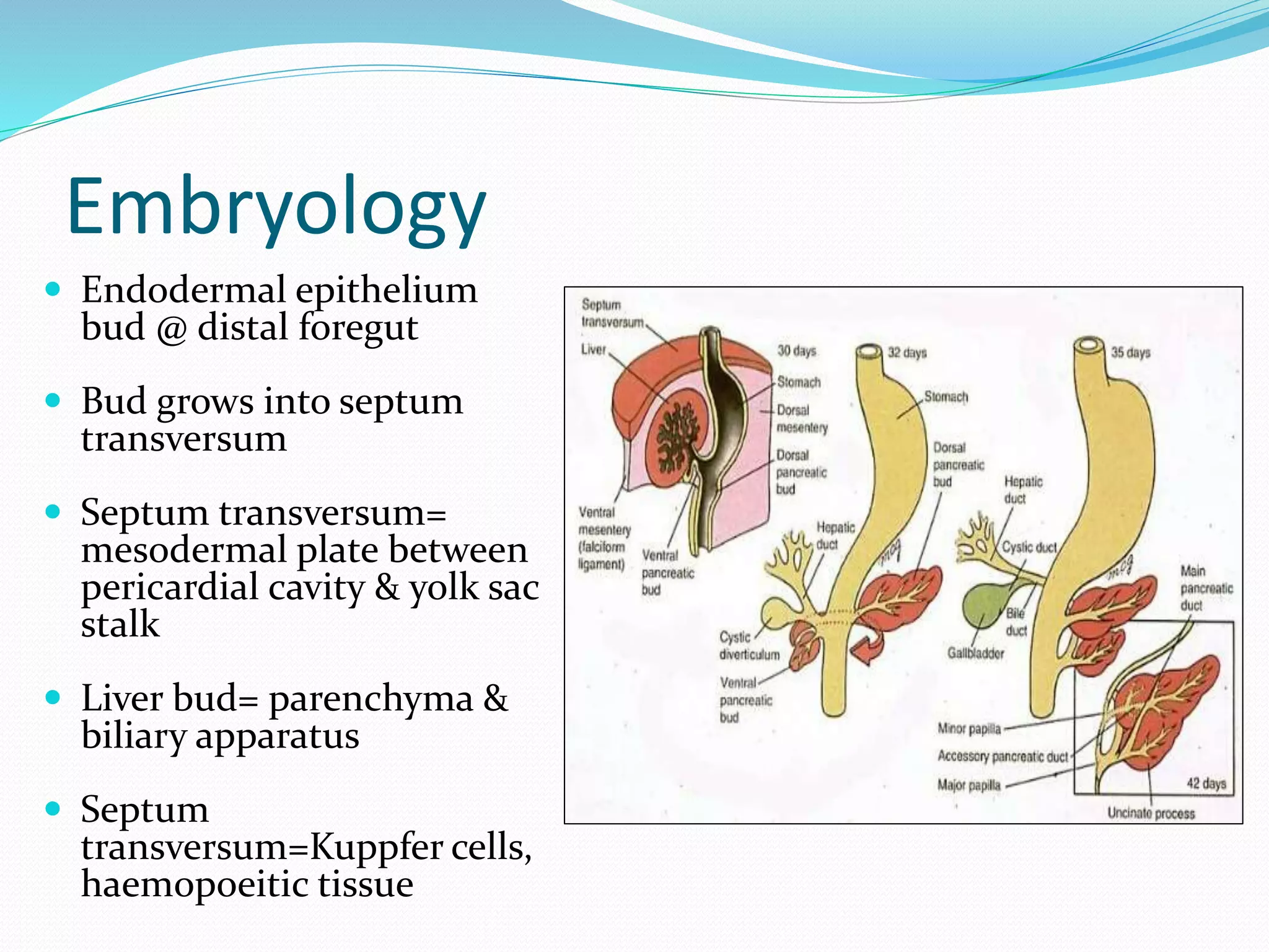 Principles of liver resection.pptx
