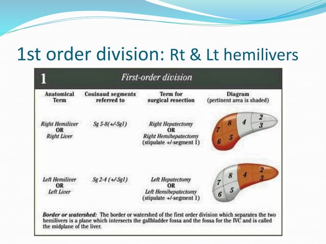 Principles of liver resection.pptx