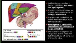 Principles of liver surgery.pptx