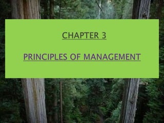 Principles of management | PPT