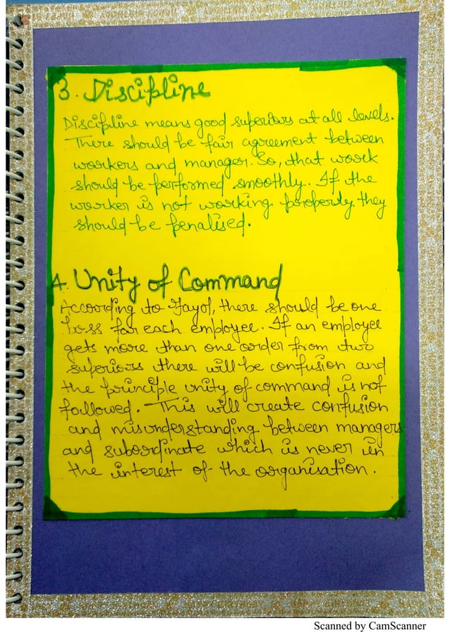 Principles of management - 1 Business Studies Project Class 12 | PDF