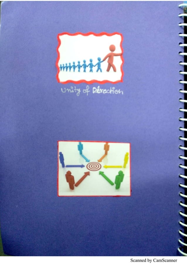 Principles of management - 1 Business Studies Project Class 12 | PDF