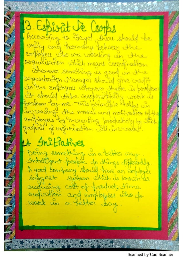 Principles of management - 1 Business Studies Project Class 12 | PDF