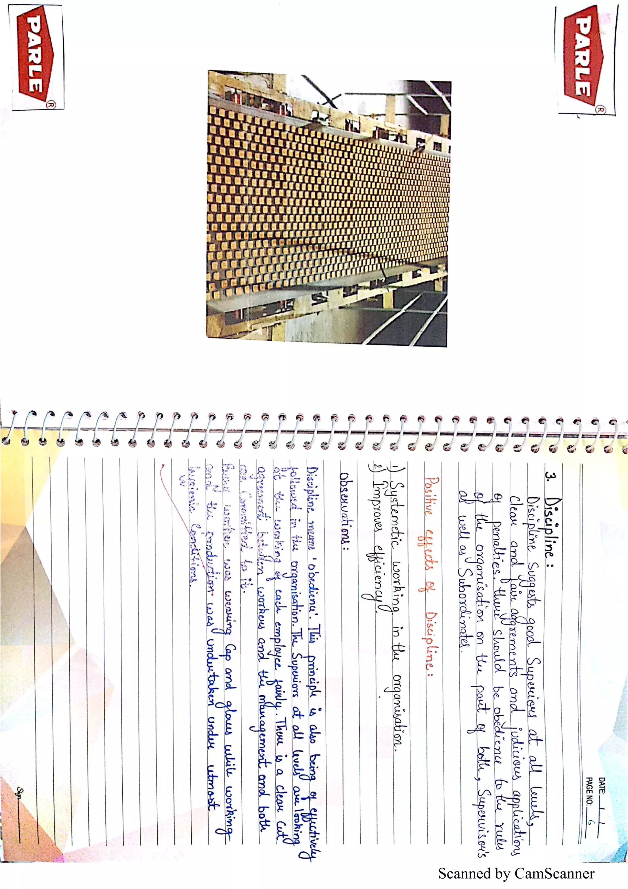 Principles of management by Henry Fayol Class 12 | PDF