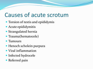 Acute scrotum.pptx
