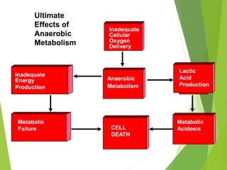 Principles of management of Shock.ppt