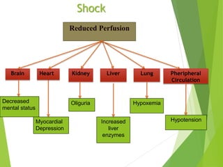 Principles of management of Shock.ppt