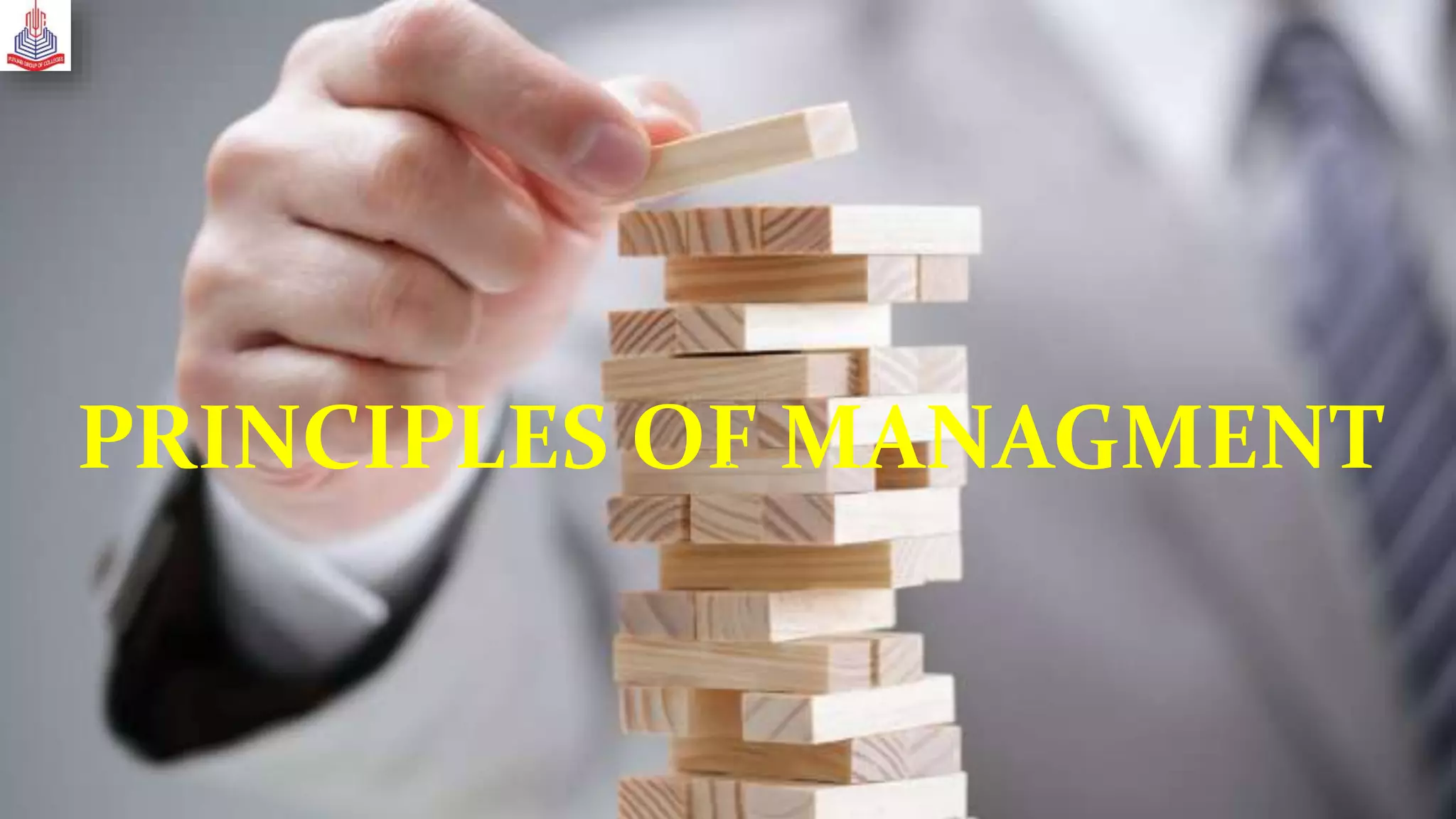 Principles of managment | PPTX