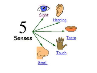 Principles of memory | PPTX