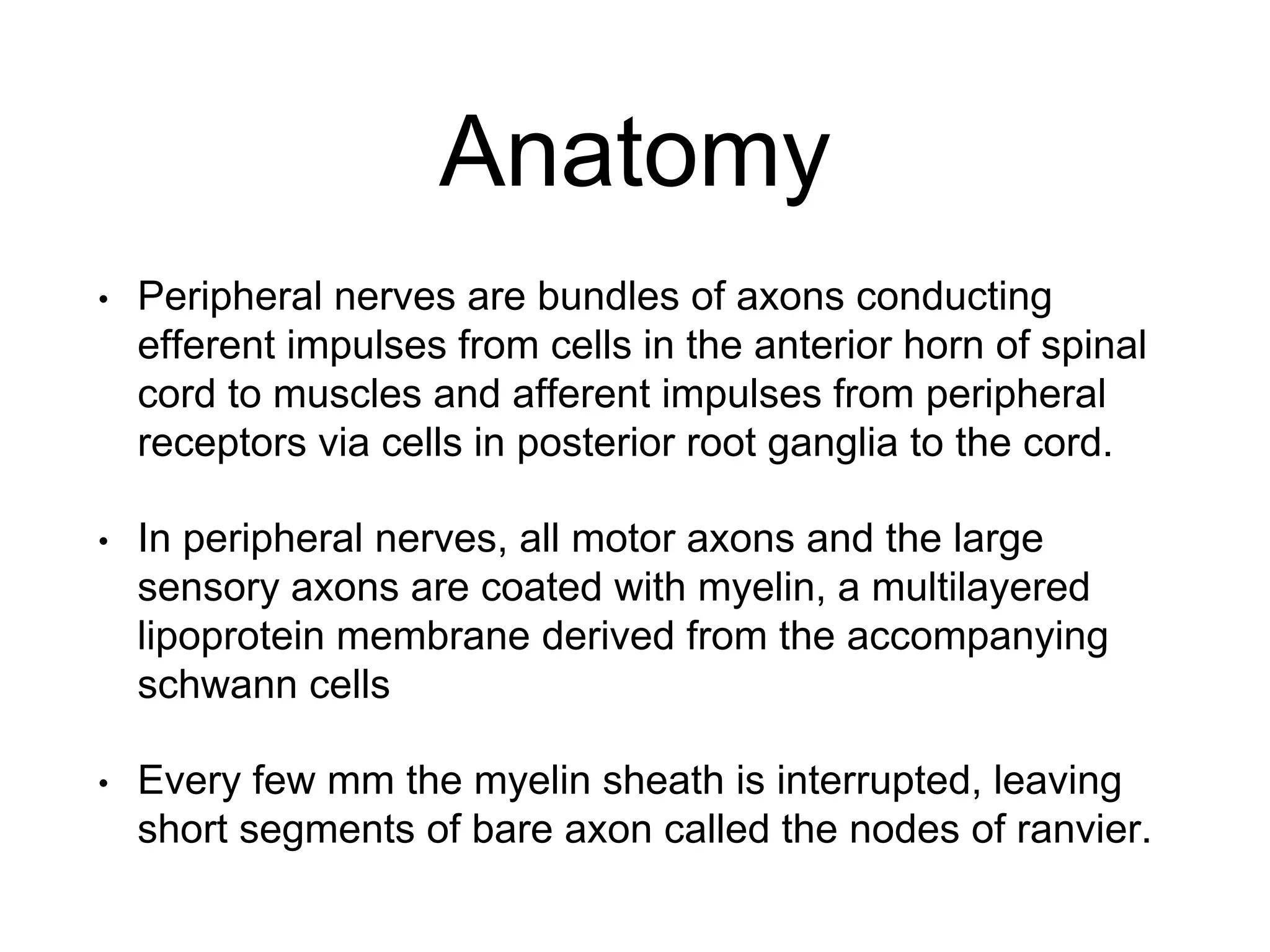 Peripheral Nerve Injury: Radial Nerve Palsy | PPTX