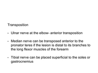 Peripheral Nerve Injury: Radial Nerve Palsy | PPTX