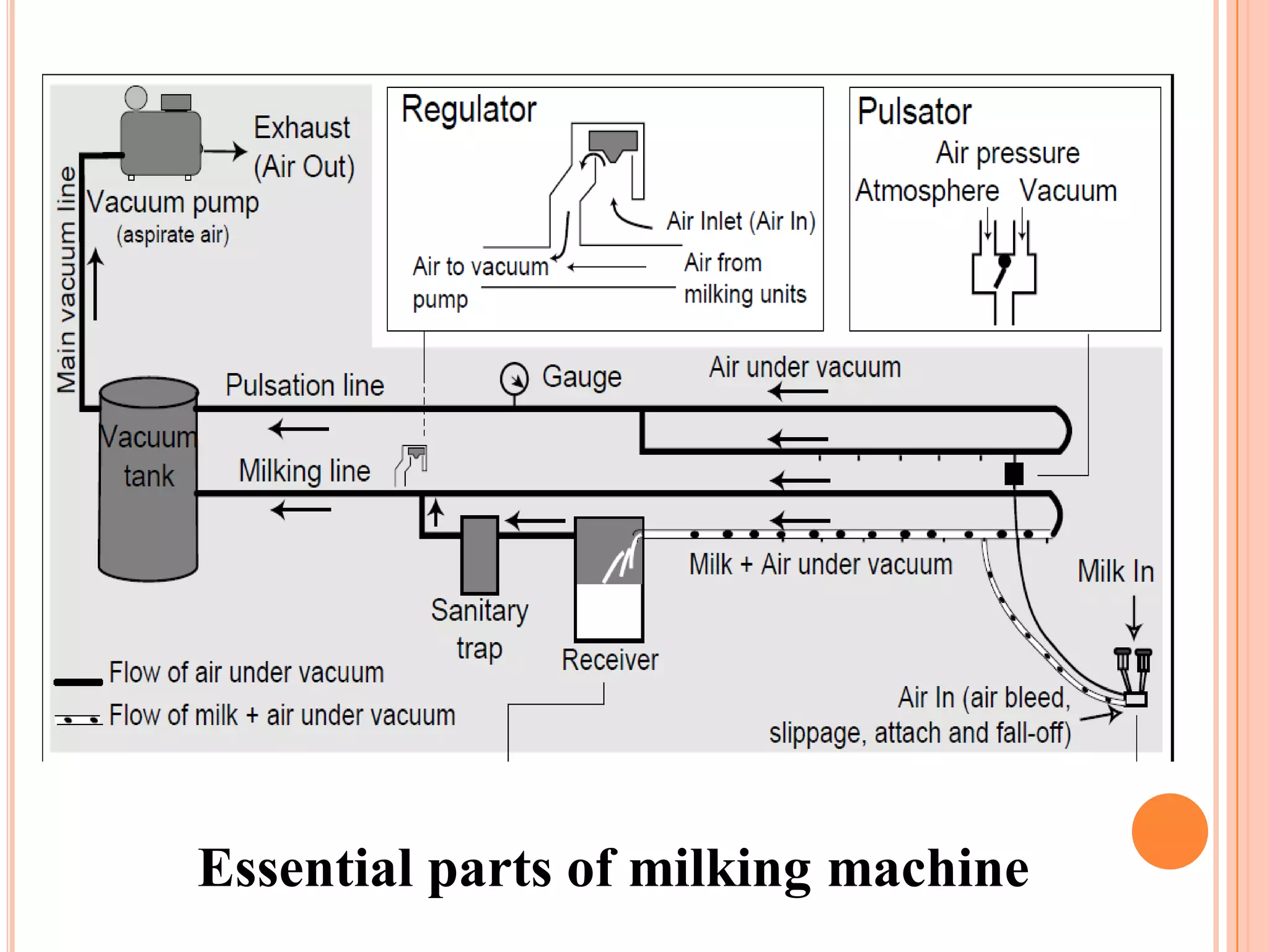 Principles of milking | PDF