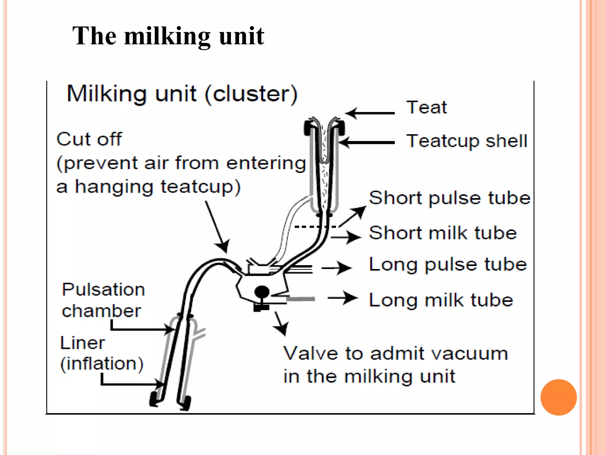 Principles of milking | PDF