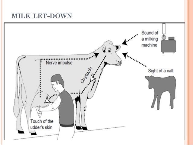 Principles of milking