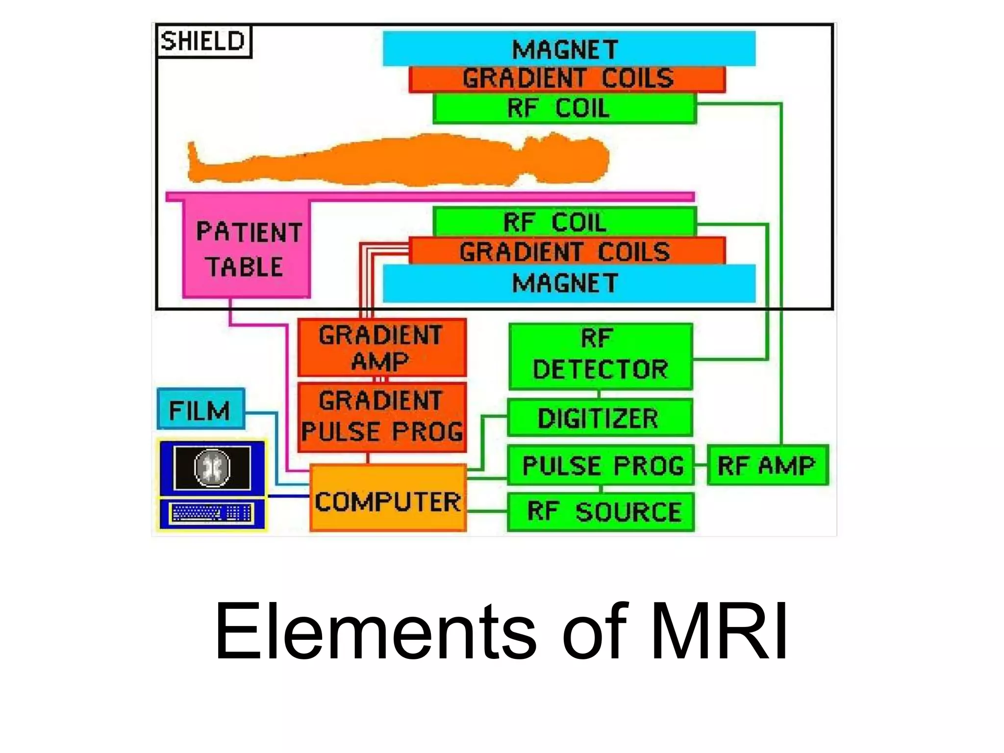 Principles of MRI | PPTX