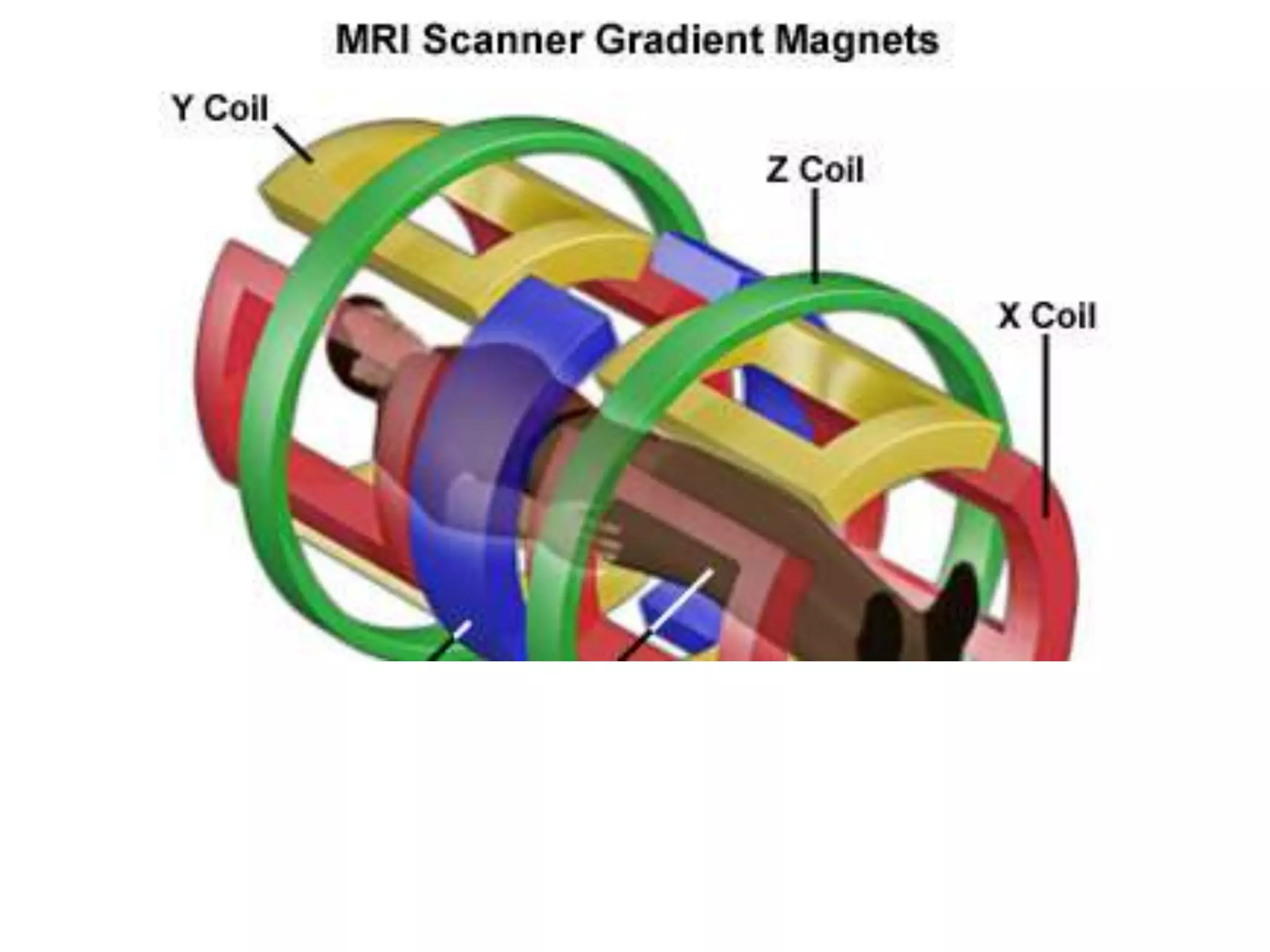 Principles of MRI | PPTX | Chemistry | Science