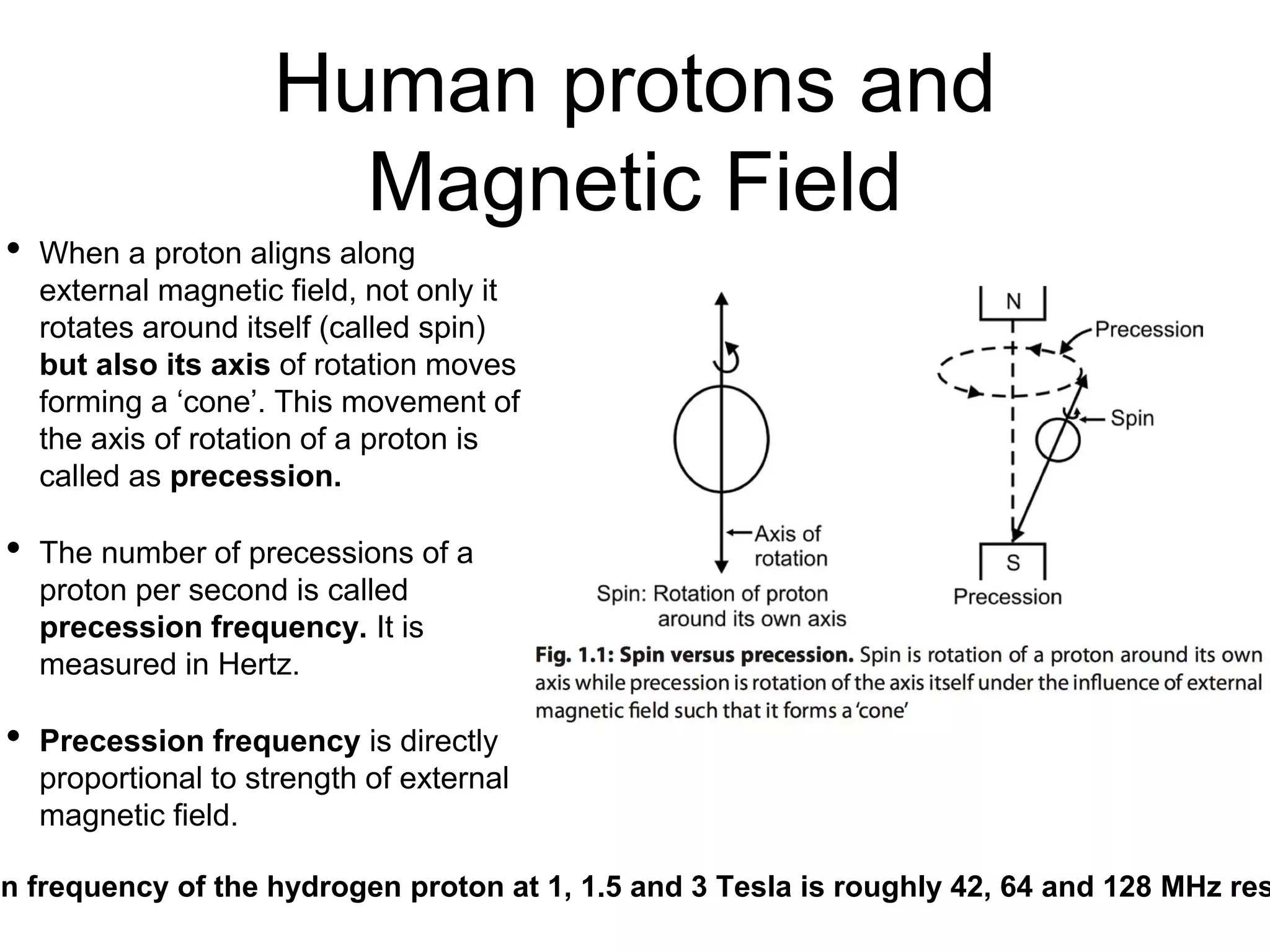 Principles of MRI | PPTX