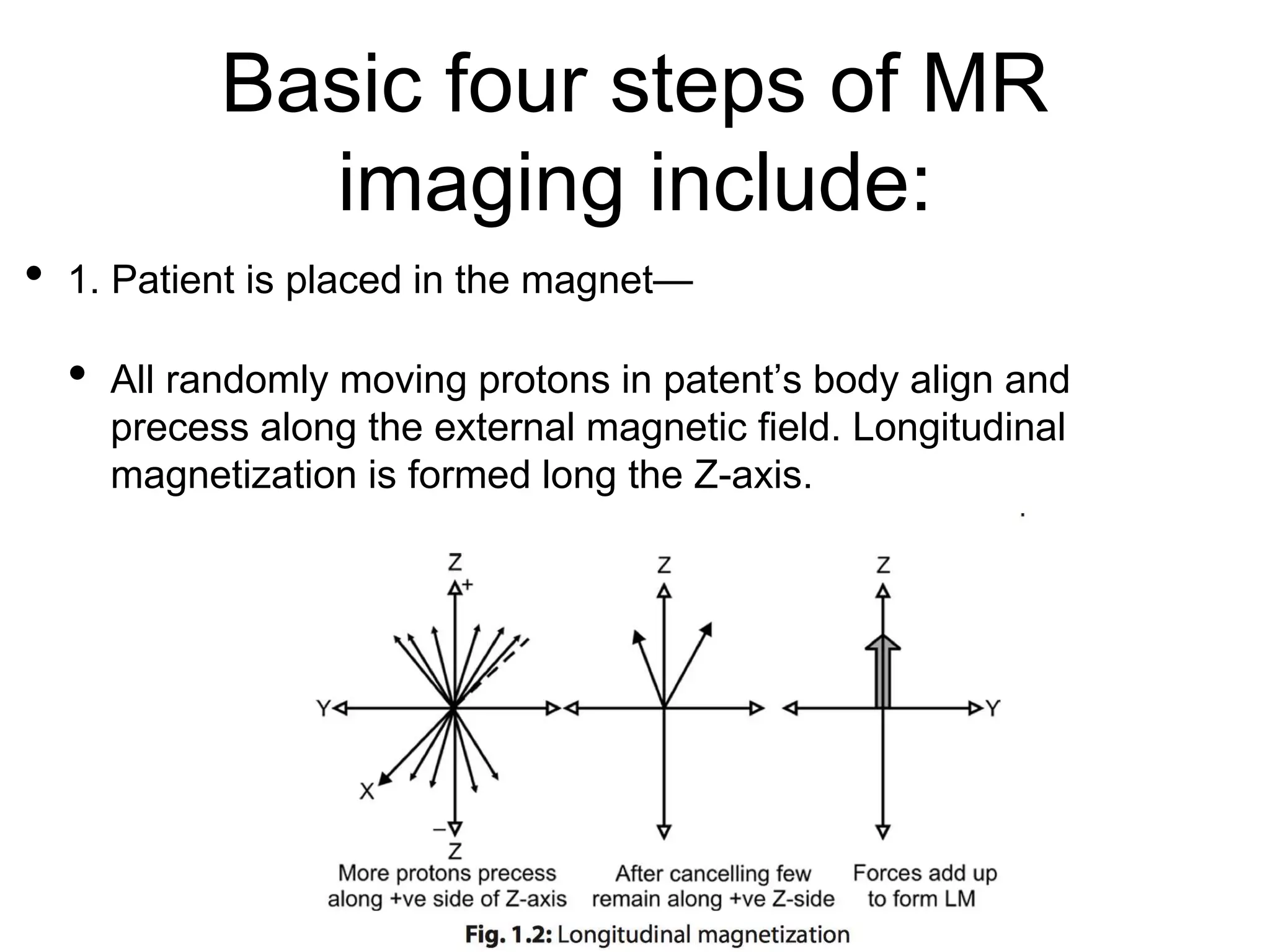 Principles of MRI | PPTX