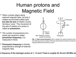 Principles of MRI | PPTX